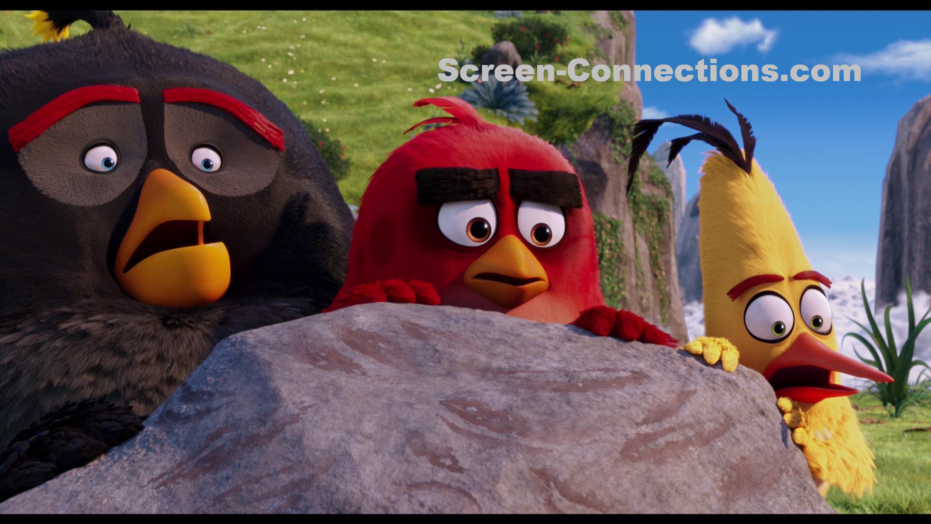 The.Angry.Birds.Movie-Blu-ray.Image-04 | Screen-Connections