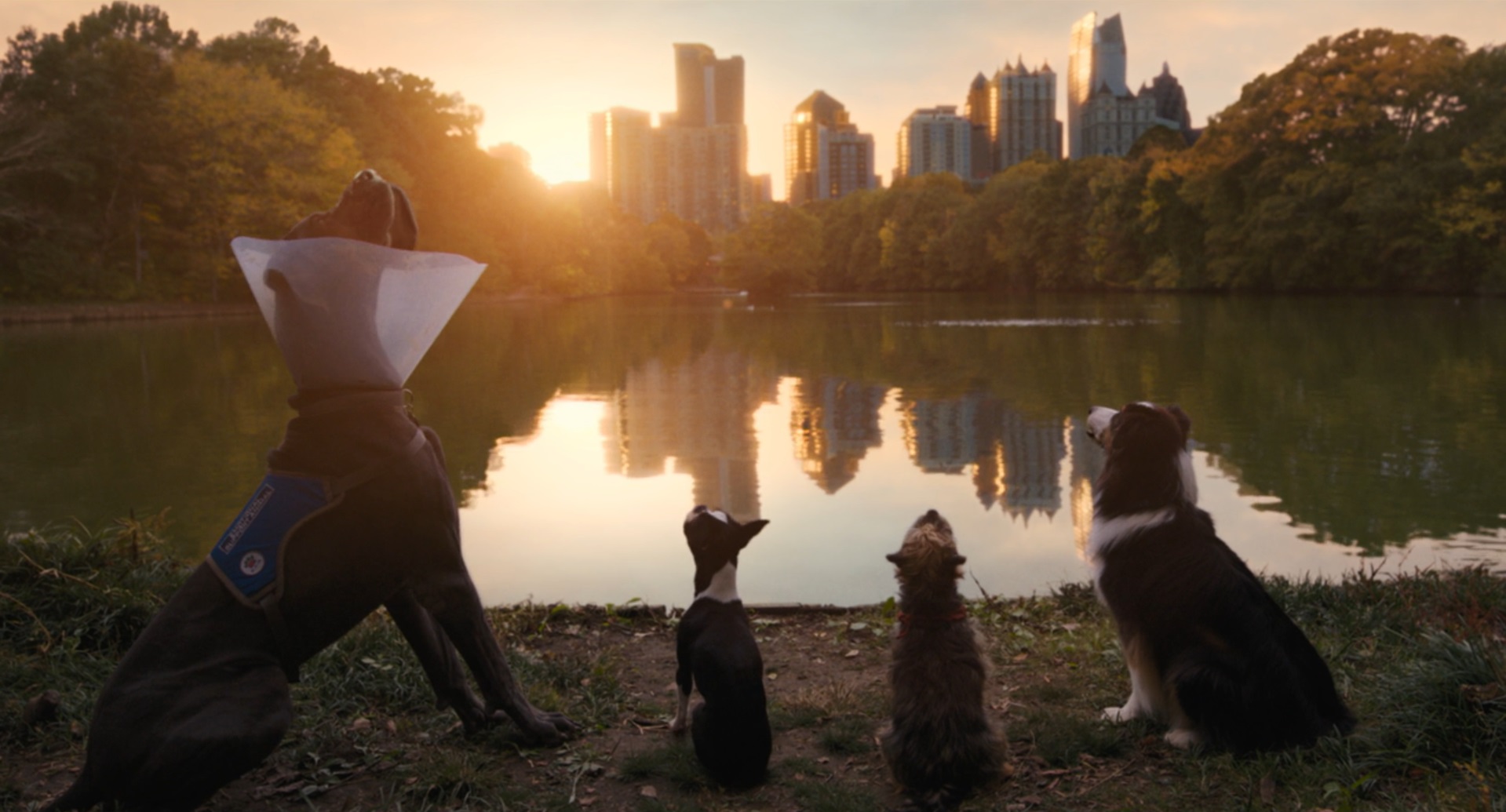 Strays; The New Uncensored Trailer & Poster Deliver More Offensively ...